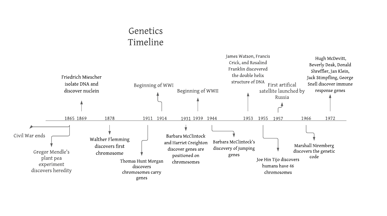 Genetics Timeline | Ashley Peroe